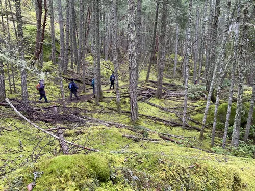 Best Walking Trails in Mount Work Regional Park | AllTrails