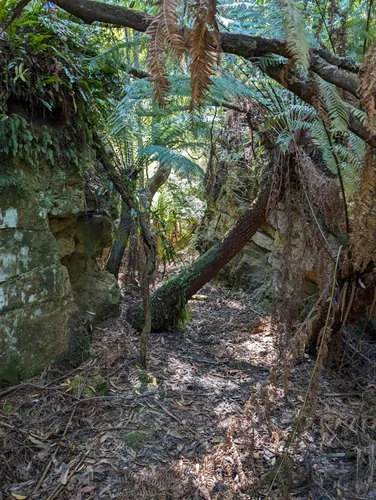 Best Historic Site Trails in Lottah | AllTrails