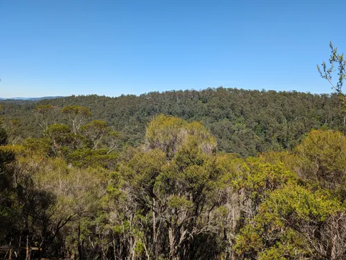 Best Historic Site Trails in Lottah | AllTrails