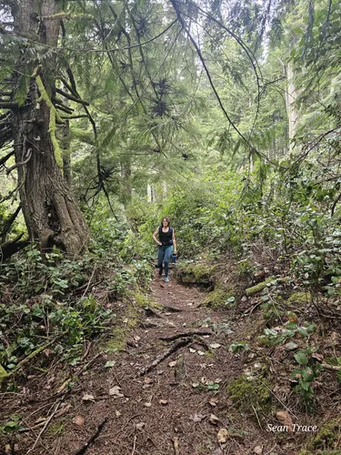 Best Forest Trails in River Jordan | AllTrails