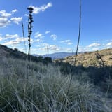 Tanque Verde Peak via Tanque Verde Ridge Trail, Arizona - 352 Reviews ...