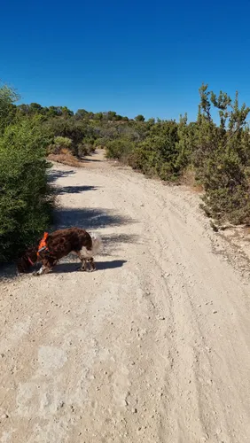 Best Views Trails in Beeliar Regional Park | AllTrails