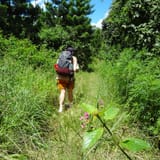 Conondale Range Great Walk, Queensland, Australia - 55 Reviews, Map ...