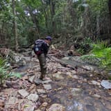 Conondale Range Great Walk, Queensland, Australia - 56 Reviews, Map ...
