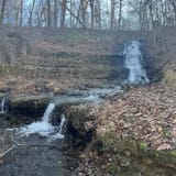 Lake Wedington Hiking Trail, Arkansas - 588 Reviews, Map | AllTrails