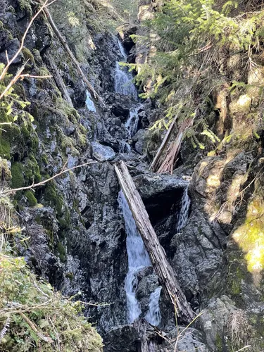 Best Lake Trails in Sitka | AllTrails