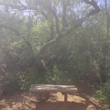 Oso Bay Wetlands Preserve, Texas - 384 Reviews, Map | AllTrails