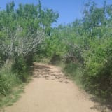 Oso Bay Wetlands Preserve, Texas - 384 Reviews, Map | AllTrails