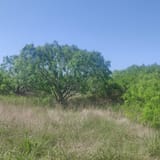 Oso Bay Wetlands Preserve, Texas - 384 Reviews, Map | AllTrails