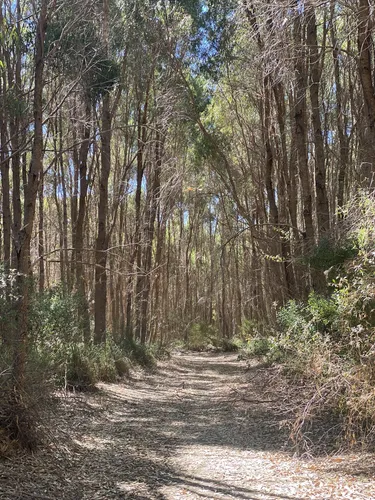 Best Hikes and Trails in Lake Cooloongup Reserve | AllTrails