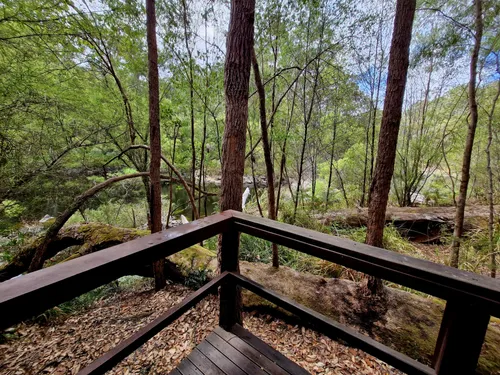 Best Hard Trails in Walpole-Nornalup National Park | AllTrails