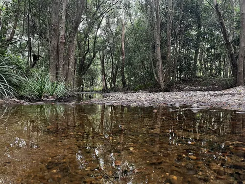 Best River Trails in Upper Kedron | AllTrails