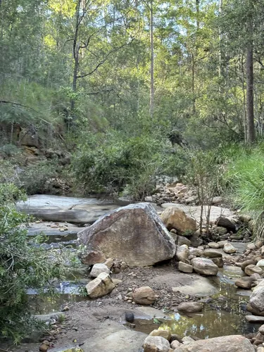 Best Hikes and Trails in Spring Mountain Forest Park | AllTrails