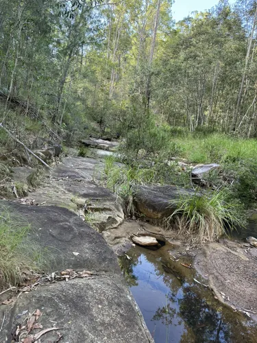 Best Walking Trails in Spring Mountain Forest Park | AllTrails