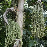 Southern Ridges and Labrador Park Loop, Central, Singapore - 448 ...