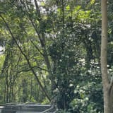 Southern Ridges and Labrador Park Loop, Central, Singapore - 448 ...