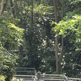 Southern Ridges and Labrador Park Loop, Central, Singapore - 448 ...