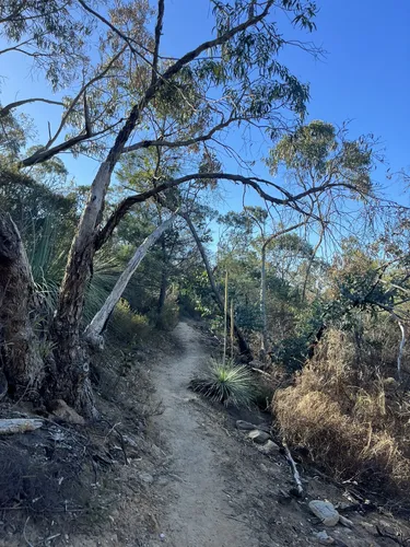 Best Hikes and Trails in Hale Conservation Park | AllTrails