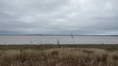 Best Hikes and Trails in Speke and Garston Coastal Reserve | AllTrails