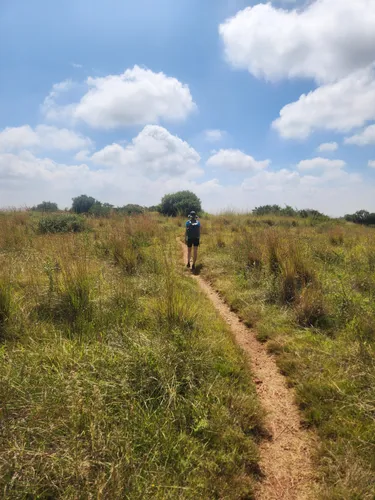 Best Hikes and Trails in Suikerbosrand Nature Reserve | AllTrails