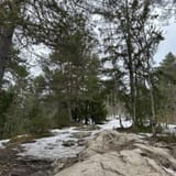 Vettakollen, Oslo, Norway - 222 Reviews, Map | AllTrails