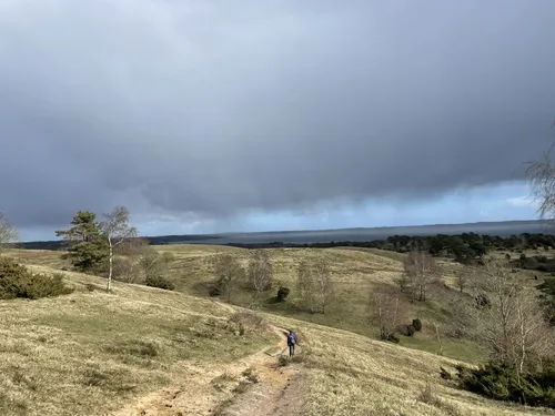 Best Hard Trails in Mols Bjerge National Park | AllTrails