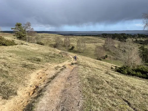 Best Hard Trails in Mols Bjerge National Park | AllTrails
