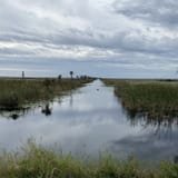 Three Forks Marsh Trail, Florida - 33 Reviews, Map | AllTrails