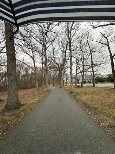 Best Forest Trails in New Bedford | AllTrails