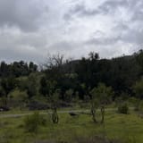 Canyon and Pony Gate Loop, California - 568 Reviews, Map | AllTrails