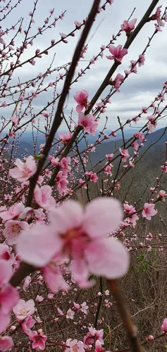 Best Hikes and Trails in Smart View Recreation Area | AllTrails