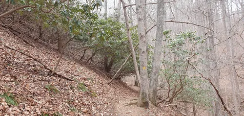 Best Hikes and Trails in Smart View Recreation Area | AllTrails