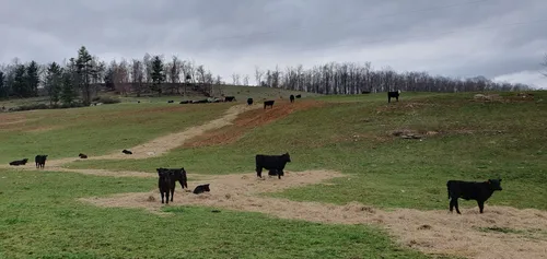 Best Hikes and Trails in Smart View Recreation Area | AllTrails