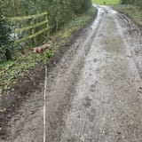 Redesmere and Capesthorne Circular, Cheshire, England - 106 Reviews ...