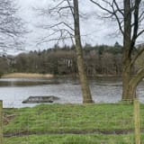 Redesmere and Capesthorne Circular, Cheshire, England - 106 Reviews ...