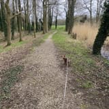 Redesmere and Capesthorne Circular, Cheshire, England - 106 Reviews ...