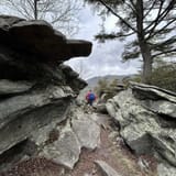 Babel Tower Trail (240), North Carolina - 1,028 Reviews, Map | AllTrails