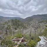 Babel Tower Trail (240), North Carolina - 1,028 Reviews, Map | AllTrails