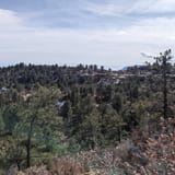 Palmer Park Outer Loop Trail, Colorado - 656 Reviews, Map | AllTrails