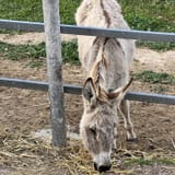 Neo Chorio Loop, Paphos, Cyprus - 14 Reviews, Map | AllTrails