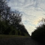 Redbud Trail, Kansas - 123 Reviews, Map | AllTrails