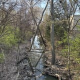 Redbud Trail, Kansas - 123 Reviews, Map | AllTrails