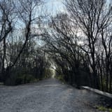 Redbud Trail, Kansas - 123 Reviews, Map | AllTrails
