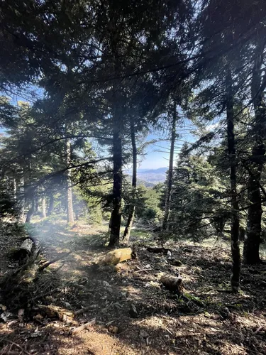 Best Partially Paved Trails in Mount Parnitha National Park | AllTrails