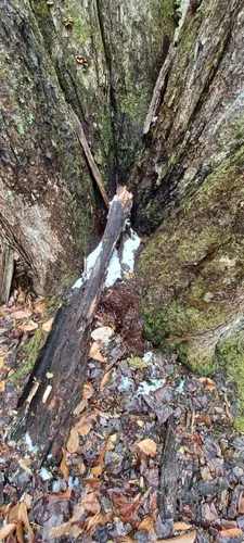 Best Hikes and Trails in Dyken Pond Environmental Education Center ...