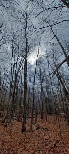 Best Hikes and Trails in Dyken Pond Environmental Education Center ...