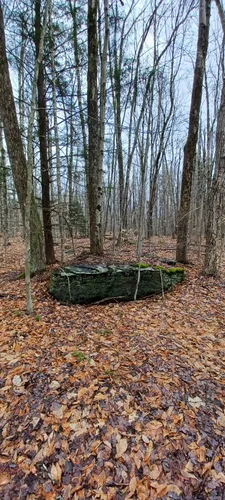 Best Hikes and Trails in Dyken Pond Environmental Education Center ...