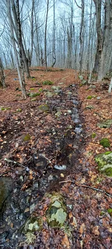 Best Hikes and Trails in Dyken Pond Environmental Education Center ...