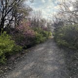 Redbud Trail, Kansas - 123 Reviews, Map | AllTrails