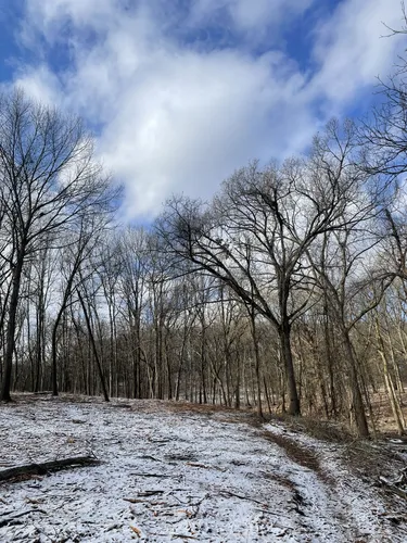 Best Trail Running Trails in Red Gate Woods | AllTrails